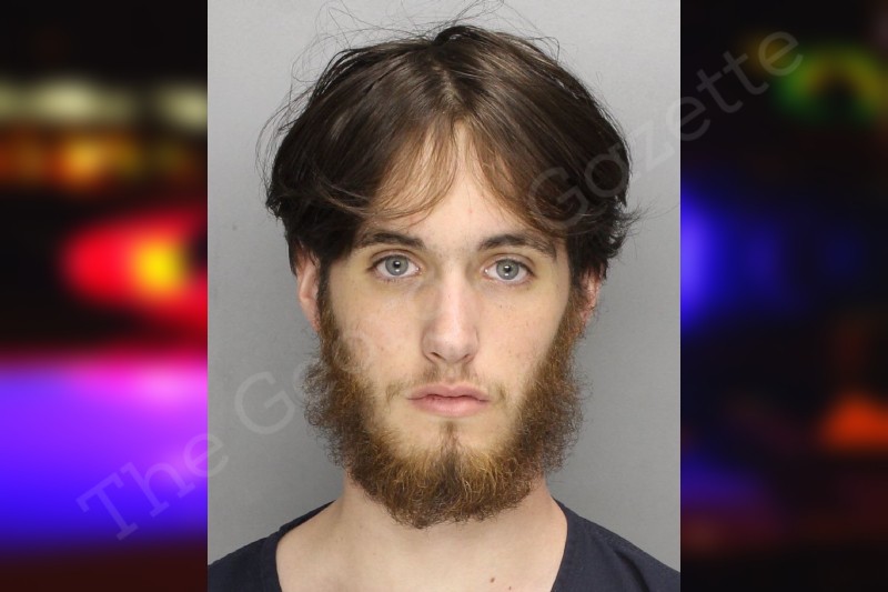 Robert Rodie — Cobb County Jail Bookings