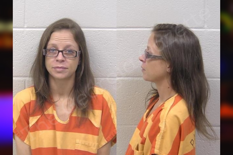 Erin Raines — Paulding County Jail Bookings