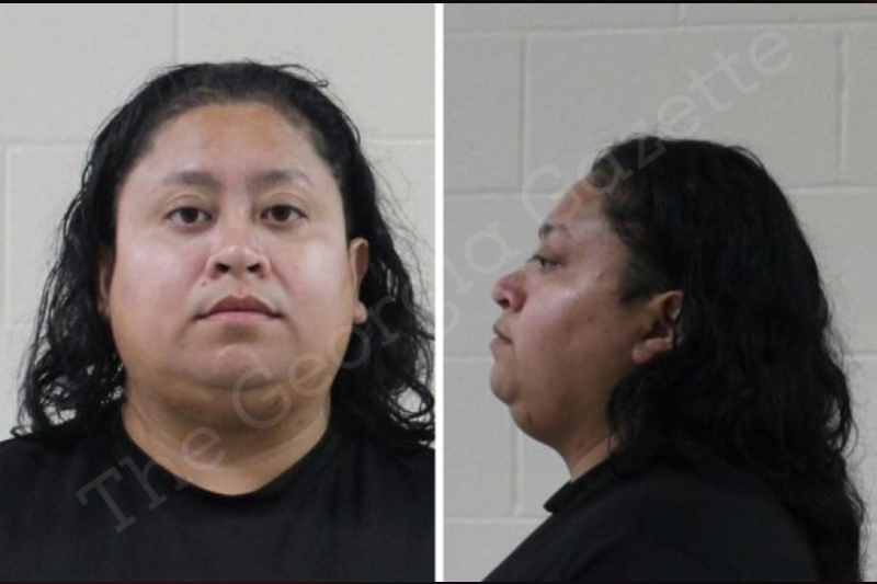 Jane Ramirez — Houston County Jail Bookings