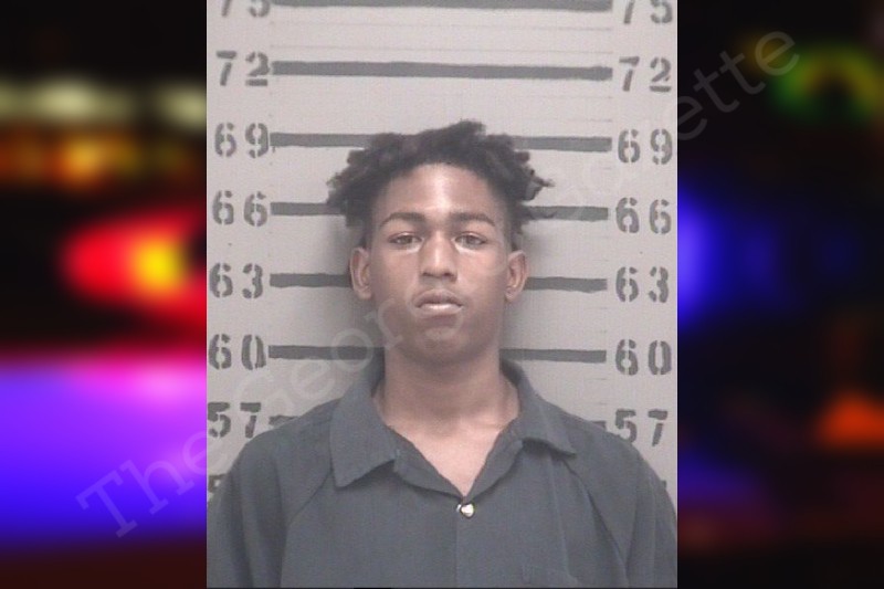 Jayden Riggins — Dougherty County Jail Bookings