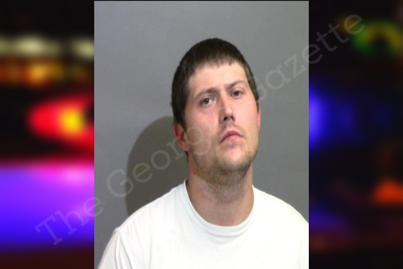 Michael Riner — Glynn County Jail Bookings