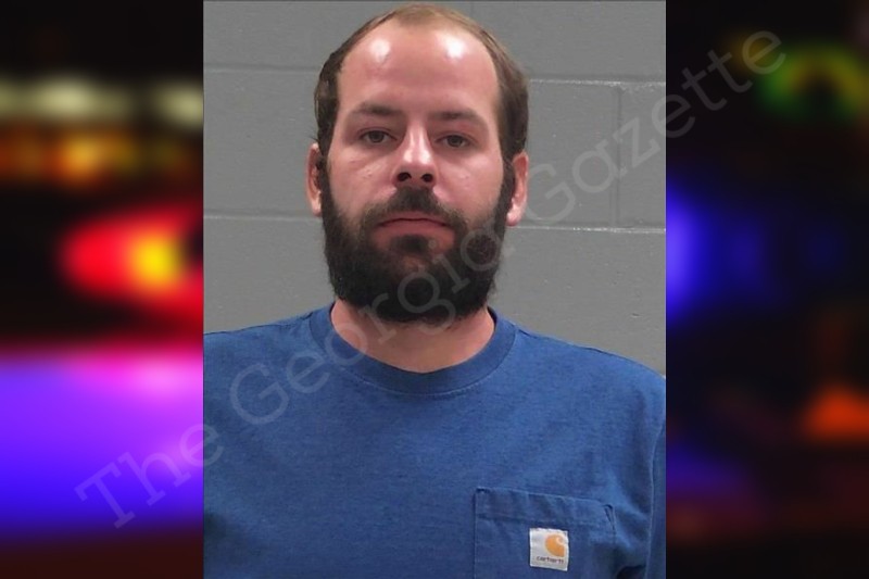 Joshua Sartin — Baldwin County Jail Bookings