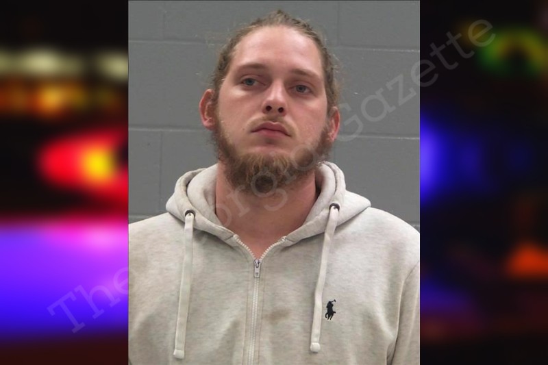 Blake Shaw — Baldwin County Jail Bookings