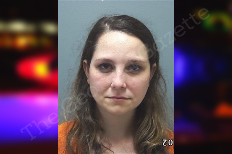 Jennifer Steele — Cherokee County Jail Bookings