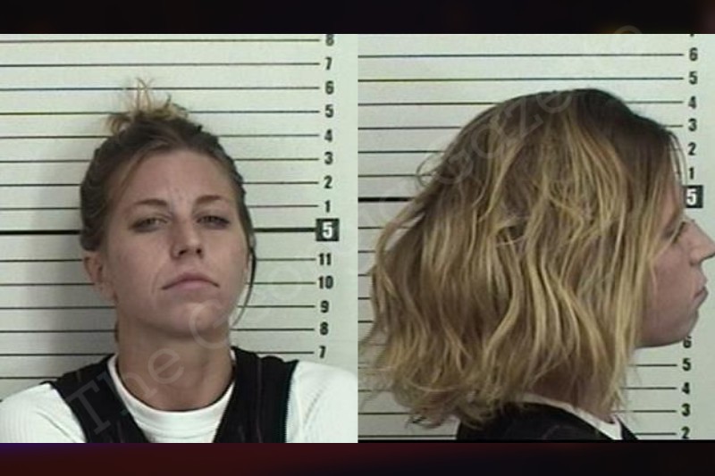 Amanda Sage — Camden County Jail Bookings