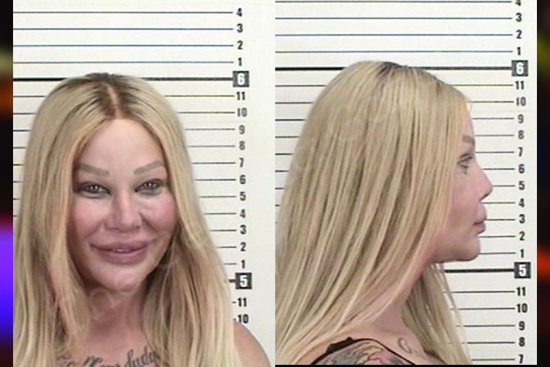 Jordyn Shepard — Camden County Jail Bookings