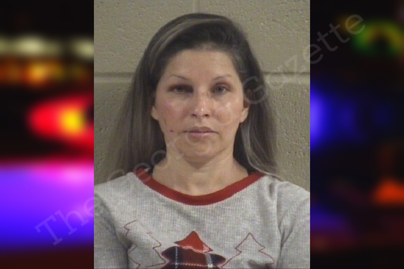 Laura Silva — Whitfield County Jail Bookings