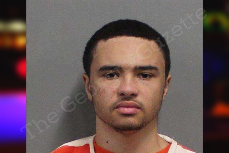 Henry Smidt — White County Jail Bookings