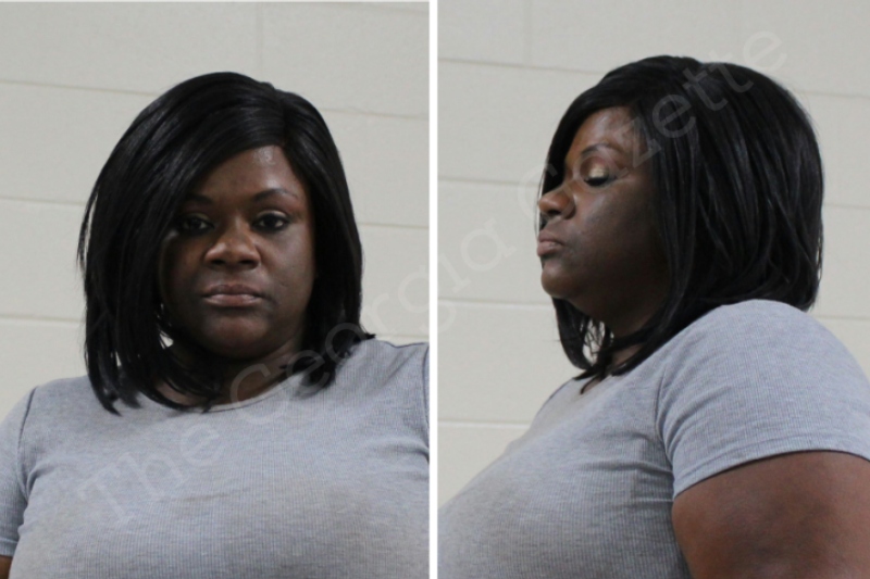 Courtney Snell — Houston County Jail Bookings