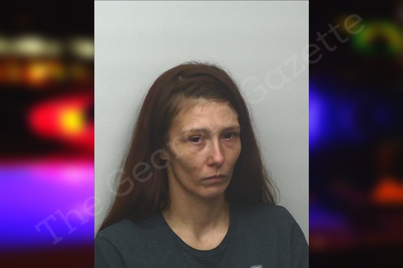 Amanda Spencer — Lanier County Jail Bookings