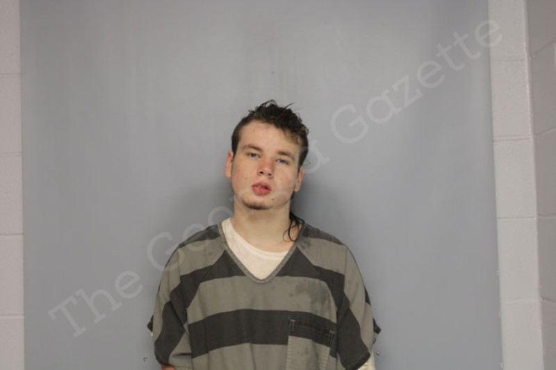 Cameron Taylor — Hall County Jail Bookings