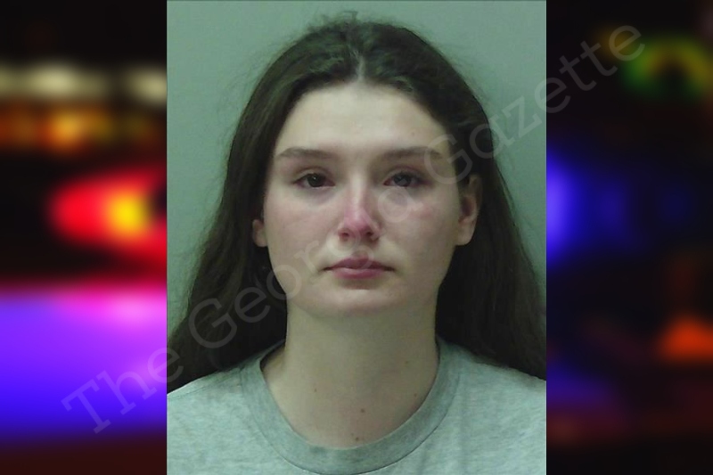 Hailey Timmons — Towns County Jail Bookings