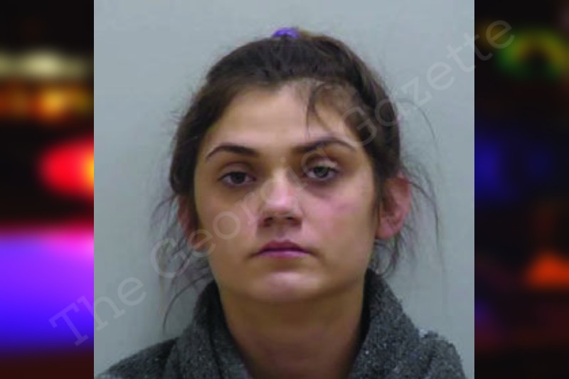 Sarah Towery — Bartow County Jail Bookings