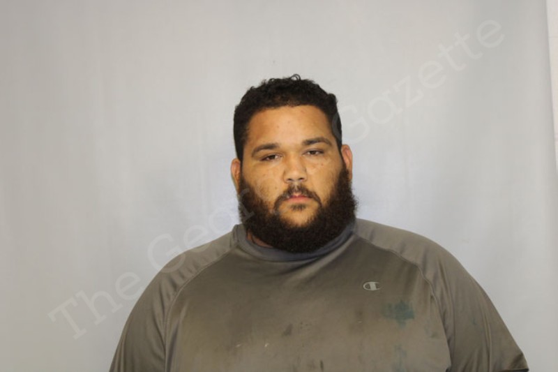 George Valentin — Hall County Jail Bookings