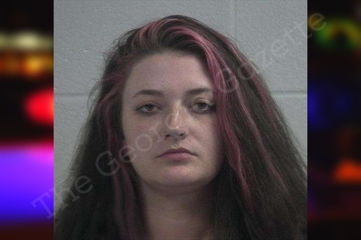 Delaney Vanetten — McDuffie County Jail Bookings