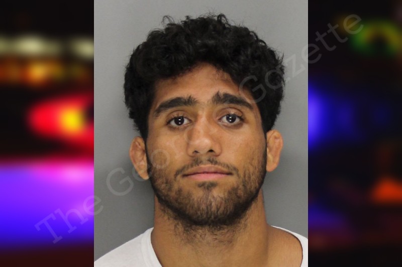 Steven Villalobos — Cobb County Jail Bookings