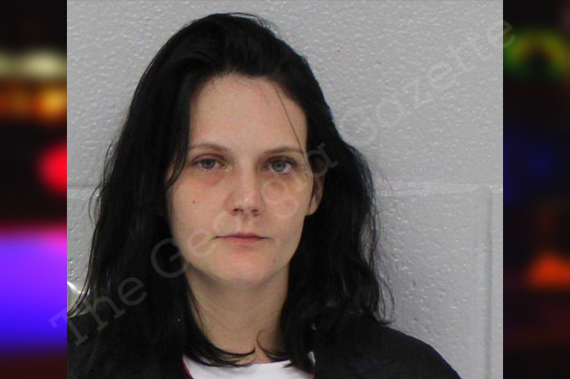 Sheena Waits — Carroll County Jail Bookings