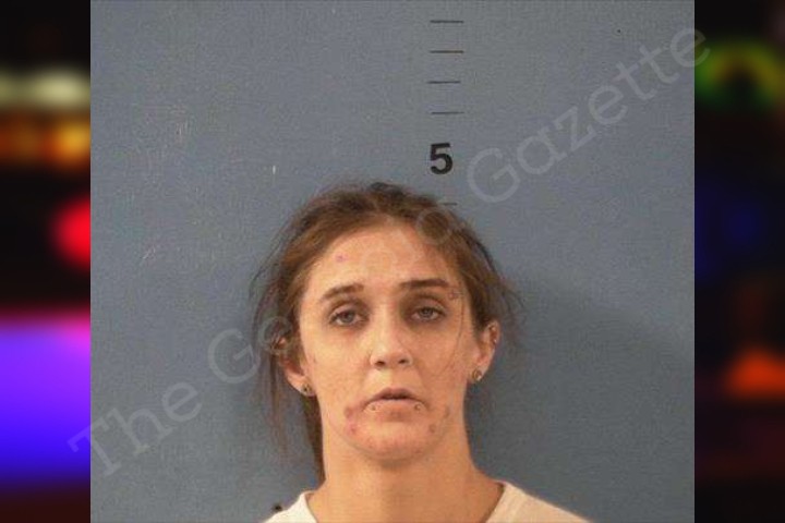 Alexa Wilson — Monroe County Jail Bookings