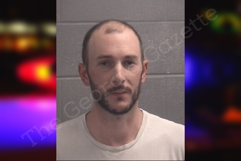 Michael Wallace — Spalding County Jail Bookings