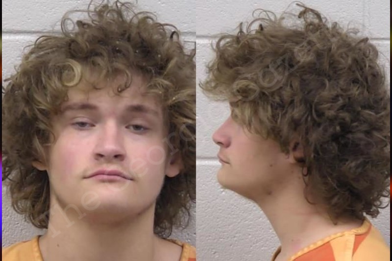 Cameron Whitley — Paulding County Jail Bookings