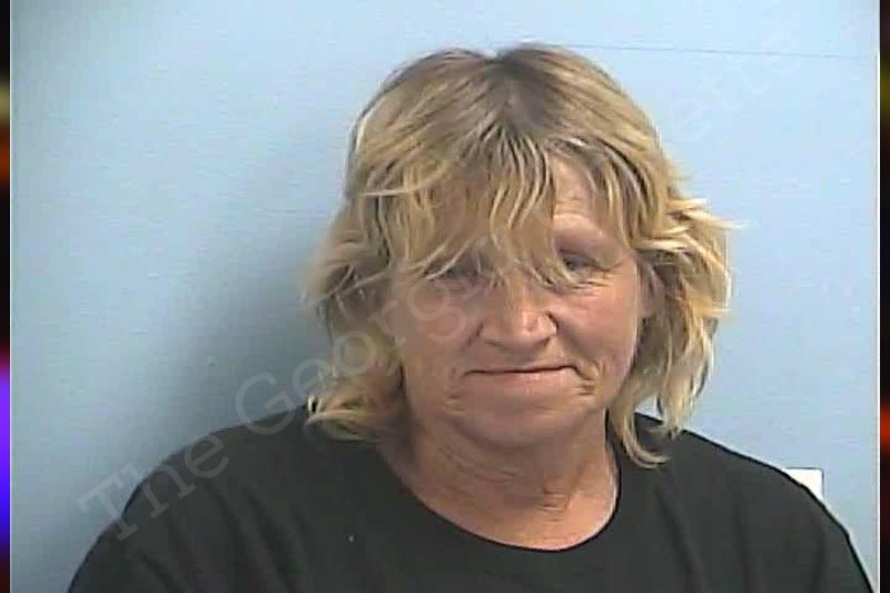 Vickie Wigley — Dawson County Jail Bookings