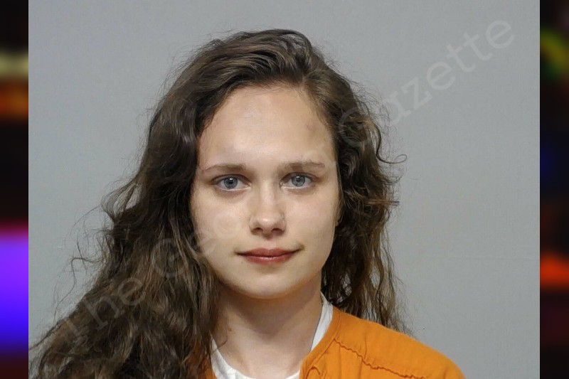 Allison Harrell — Bibb County Jail Bookings