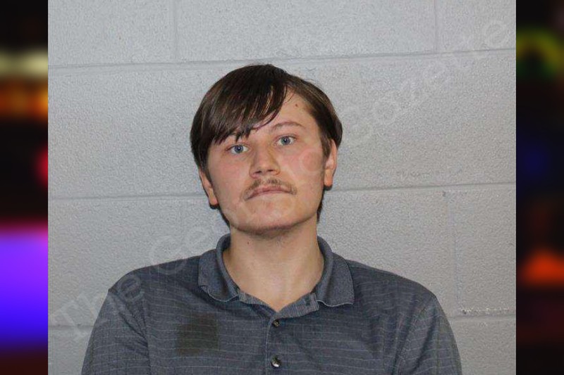 Tyler Babb — Harris County Jail Bookings