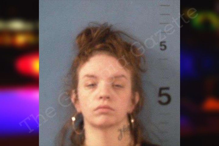 Sarah Bennett — Monroe County Jail Bookings