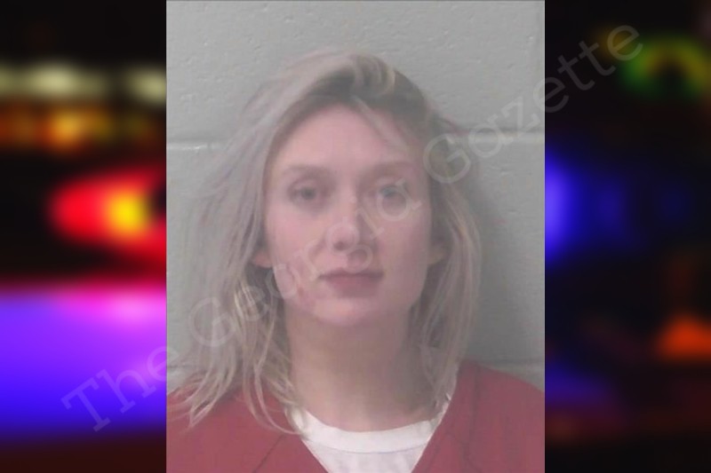 Laura Brandon — Newton County Jail Bookings