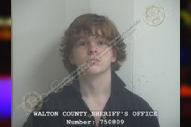 Blake Brown — Walton County Jail Bookings
