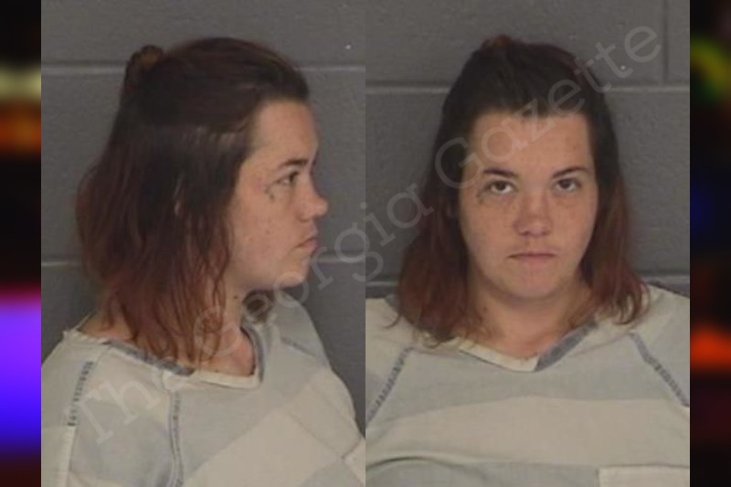 Hannah Bailey — Barrow County Jail Bookings