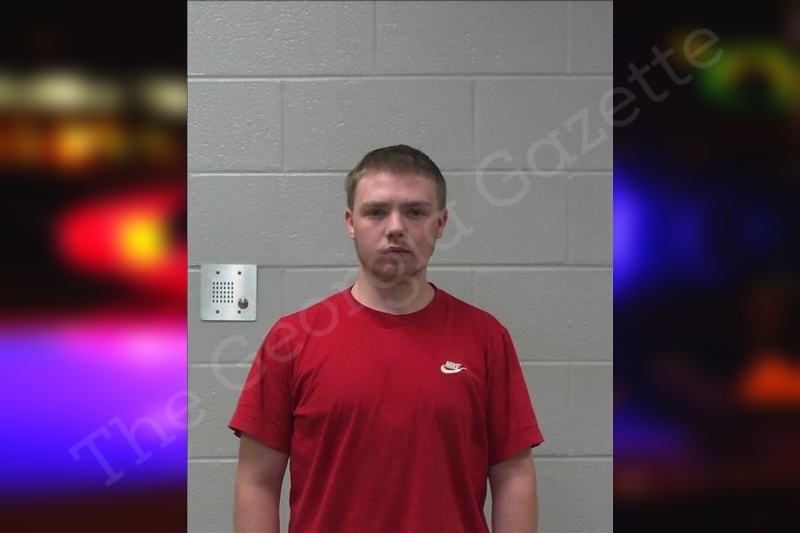 Brandon Baird — Gilmer County Jail Bookings