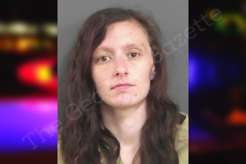 Brandy Baker — Gordon County Jail Bookings