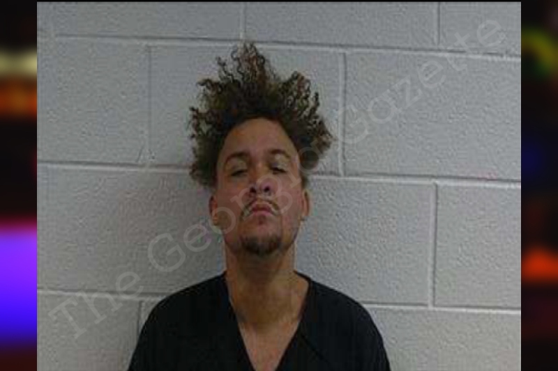 Michael Batchelor — Polk County Jail Bookings