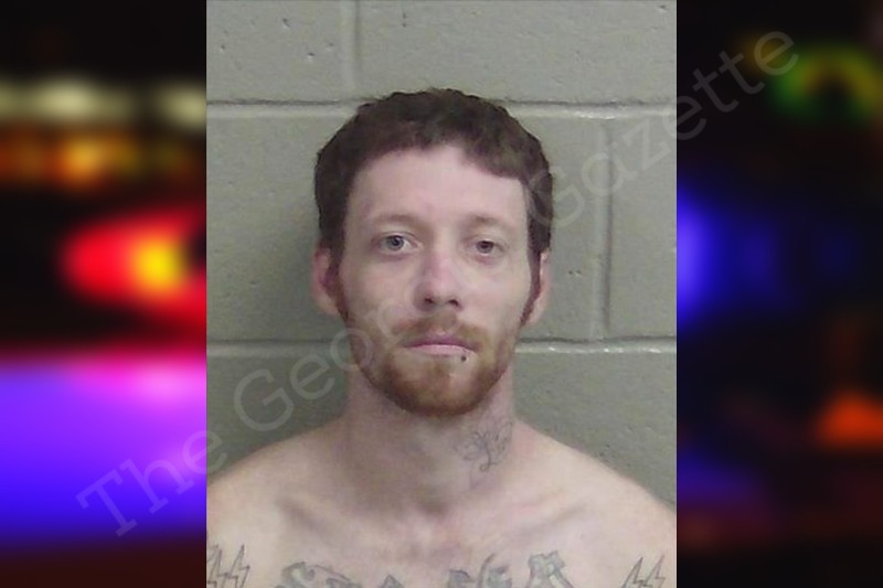 Michael Blocker — Wayne County Jail Bookings