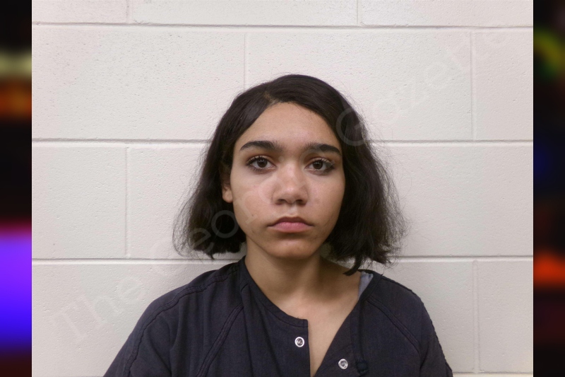 Shante Boozer — Bulloch County Jail Bookings