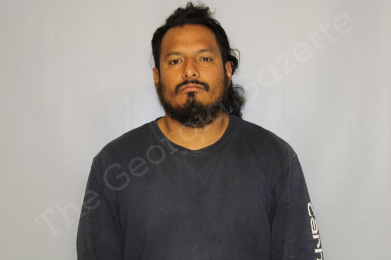 Jose Castillo — Hall County Jail Bookings