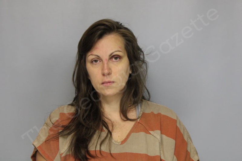 Sonya Caviness — Hall County Jail Bookings