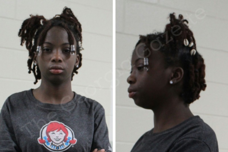 Serena Cook — Houston County Jail Bookings