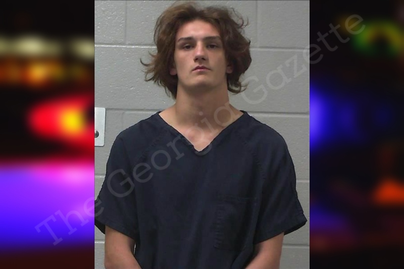 Hayden Calhoun — Gilmer County Jail Bookings