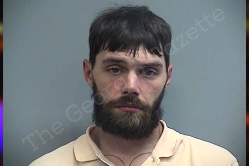 Brandon Cannon — Effingham County Jail Bookings