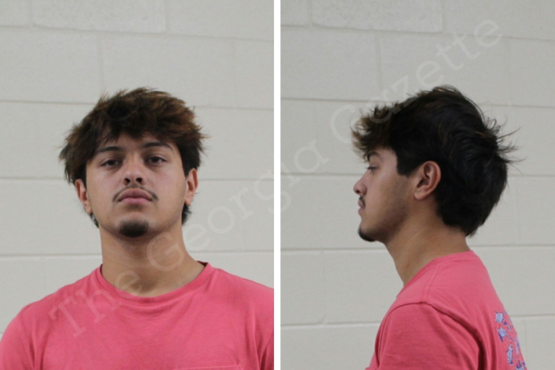 Aleczander Castillo — Houston County