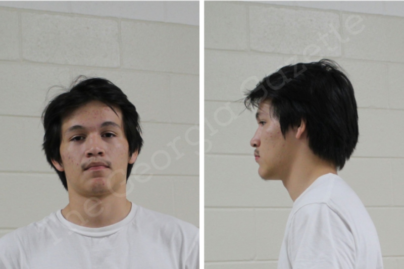Joel Castro — Houston County Jail Bookings