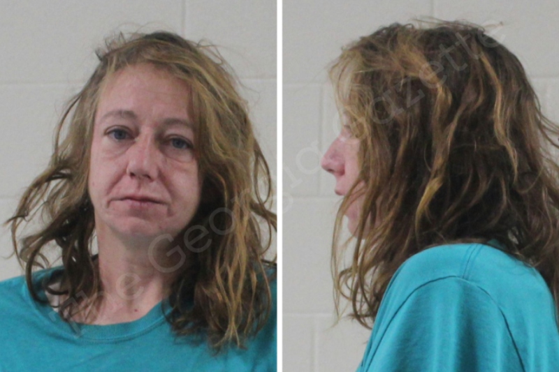 Kristin Chambers — Houston County Jail Bookings