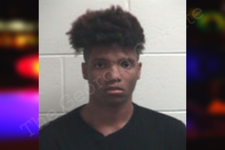 Joseph Chambless — Henry County Jail Bookings