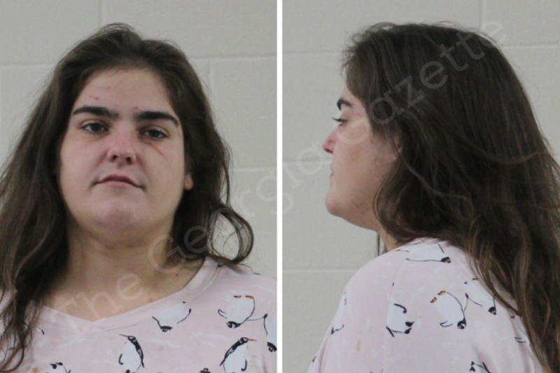 Emily Coffey — Houston County Jail Bookings