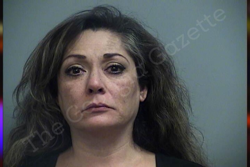Laura Cubbage — Effingham County Jail Bookings Laura Cubbage — Effingham County Jail Bookings