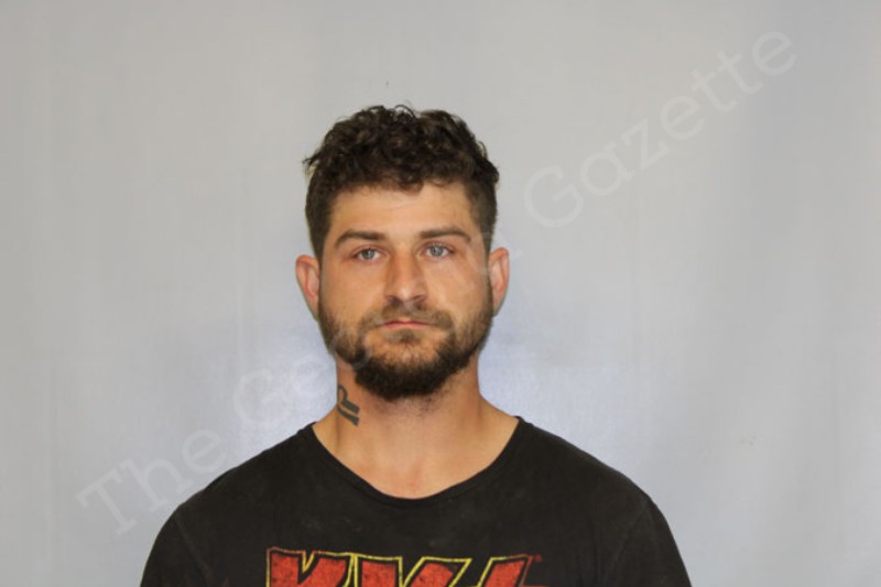 Andrew Davis — Hall County Jail Bookings