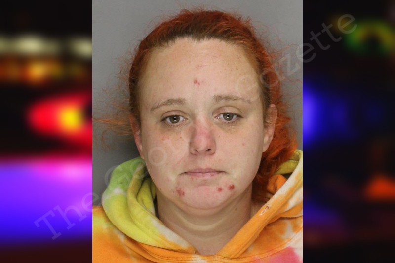 Emily Donley — Cobb County Jail Bookings