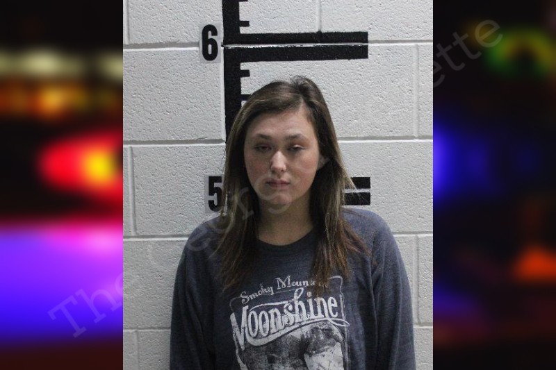 Taylor Davis — Murray County Jail Bookings